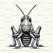 Grasshopper SVG Bundle - Etsy
