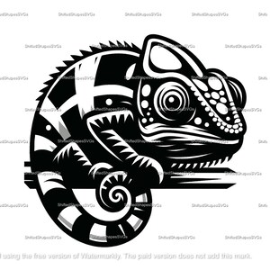 Chameleon SVG Bundle - Etsy