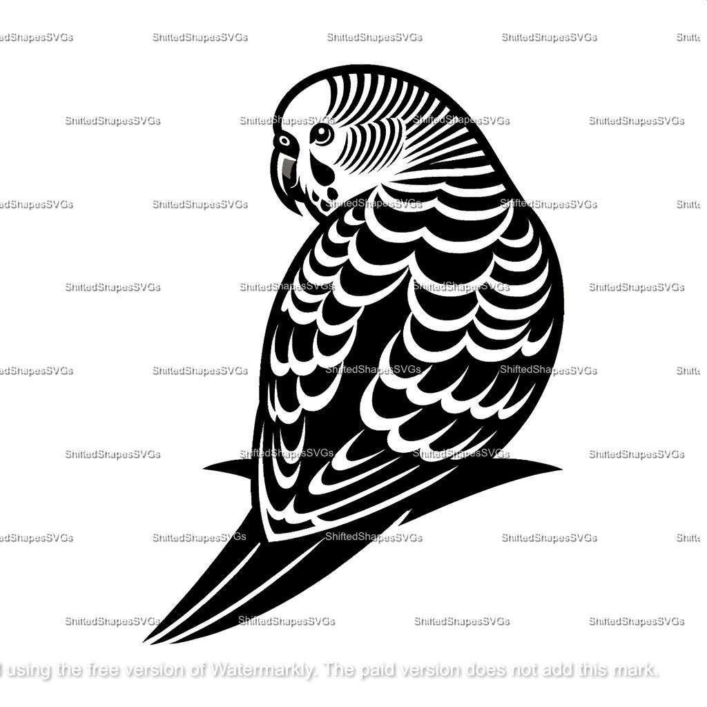 Parakeet SVG Bundle - Etsy