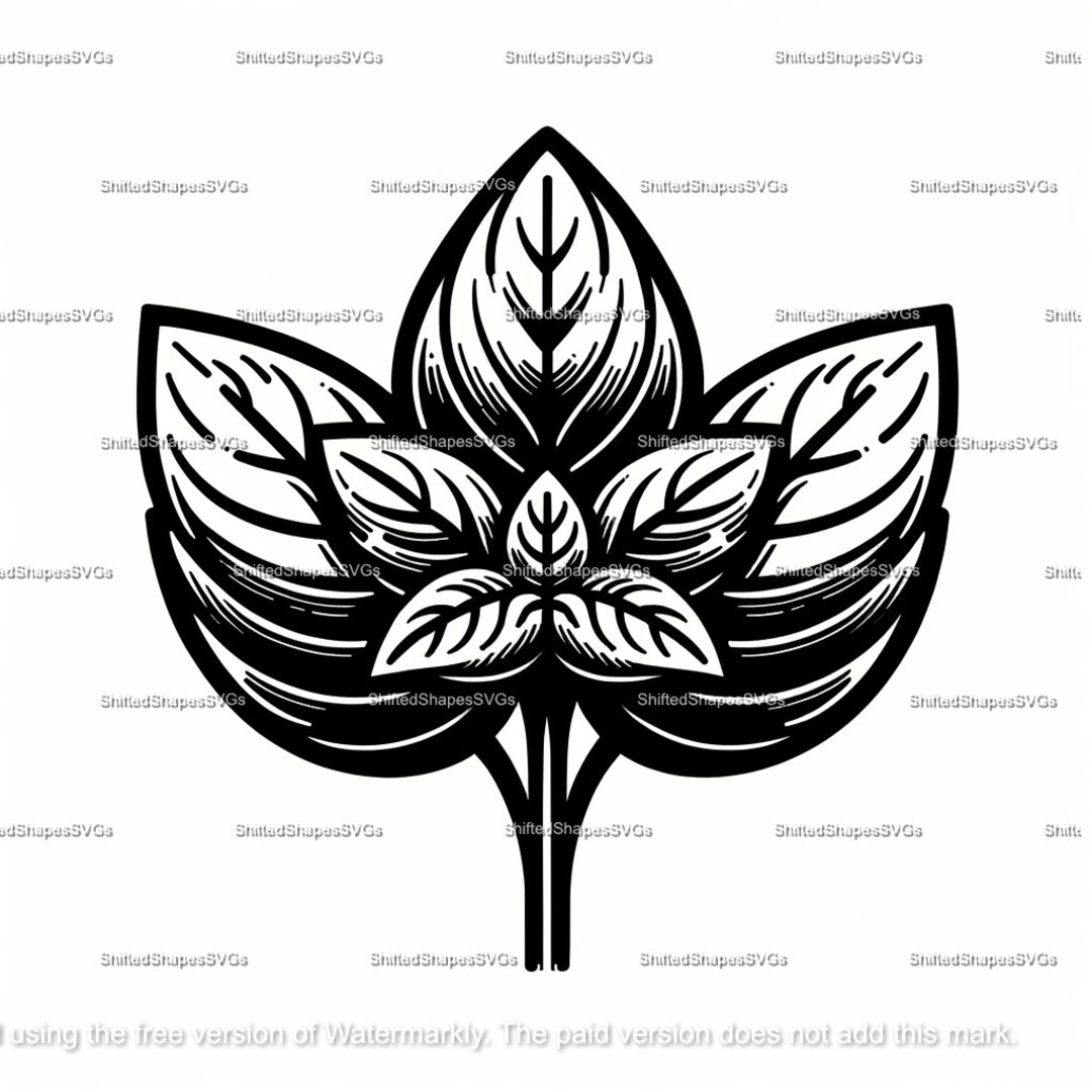 Basil SVG Bundle - Etsy