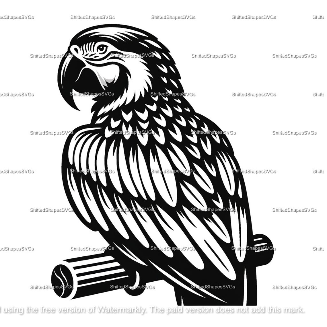 Macaw SVG Bundle - Etsy
