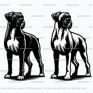 Boxer SVG Bundle - Etsy