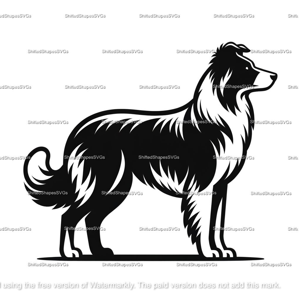Border Collie SVG Bundle - Etsy