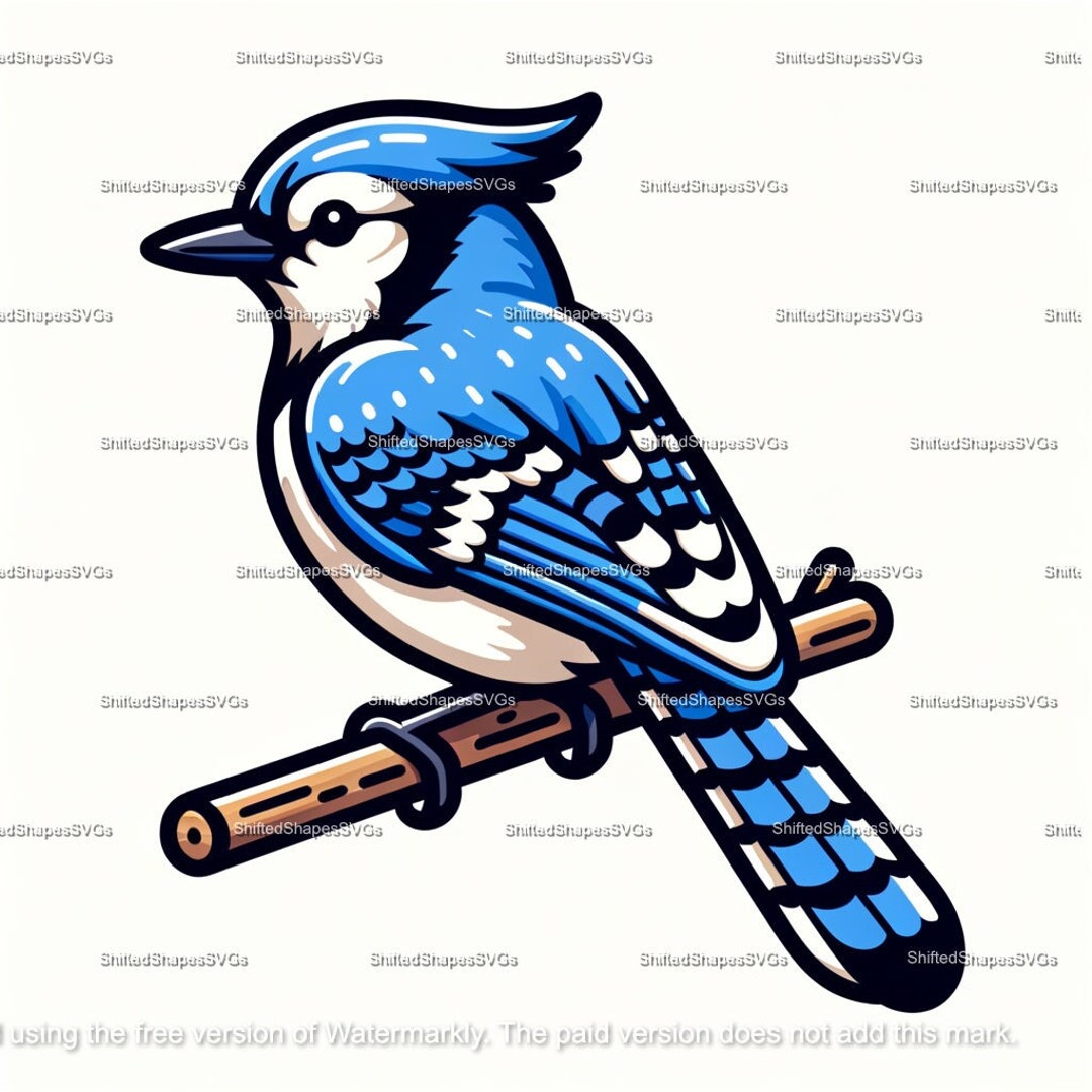 Blue Jay SVG Bundle - Etsy