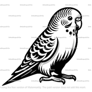 Discus Fish SVG Bundle - Etsy