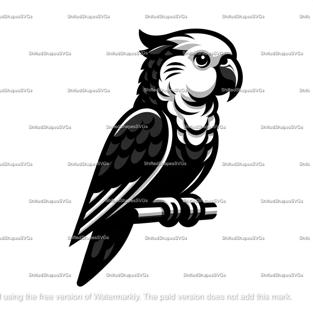 Conure SVG Bundle - Etsy