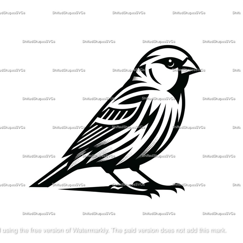 Canary SVG Bundle - Etsy