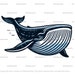 Blue Whale SVG Bundle - Etsy