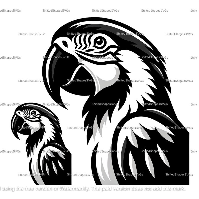 Macaw SVG Bundle - Etsy