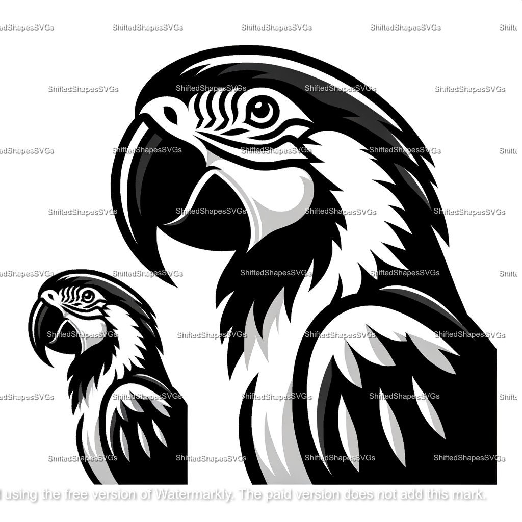 Macaw SVG Bundle - Etsy
