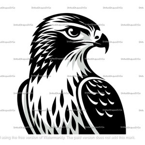 Red-tailed Hawk SVG Bundle - Etsy