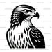 Red-tailed Hawk SVG Bundle - Etsy