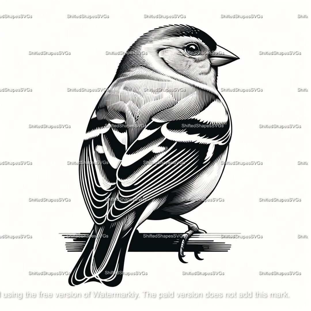 Finch SVG Bundle - Etsy