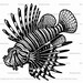Lionfish SVG Bundle - Etsy