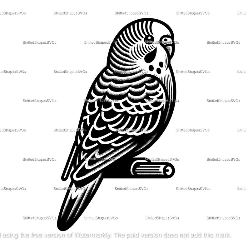 Budgerigar SVG Bundle - Etsy