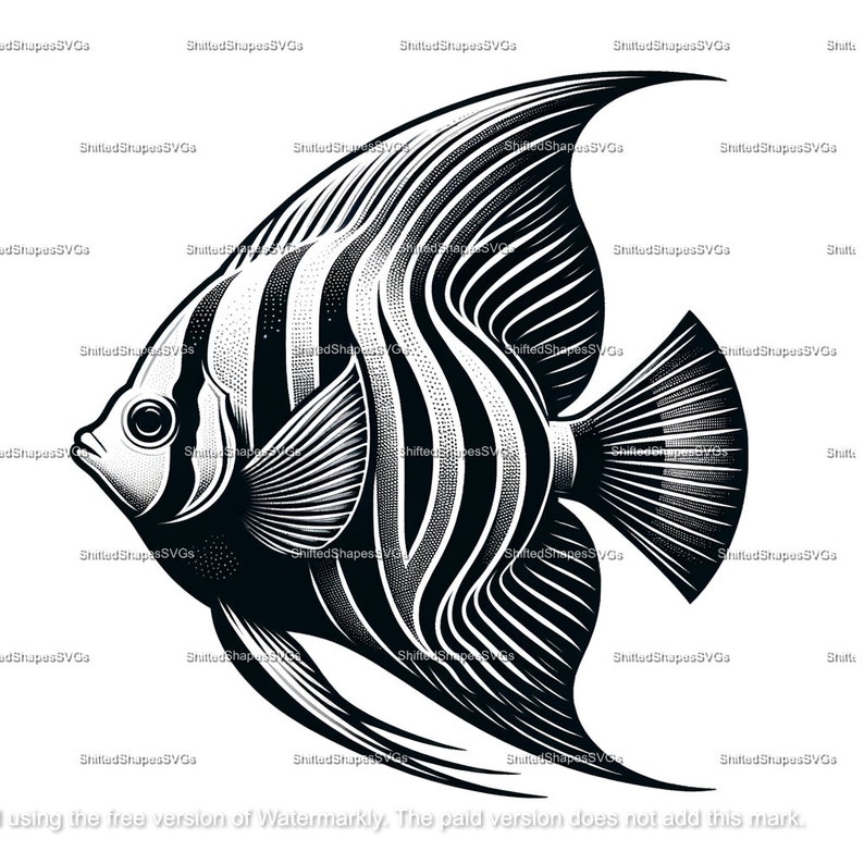 Angelfish SVG Bundle - Etsy