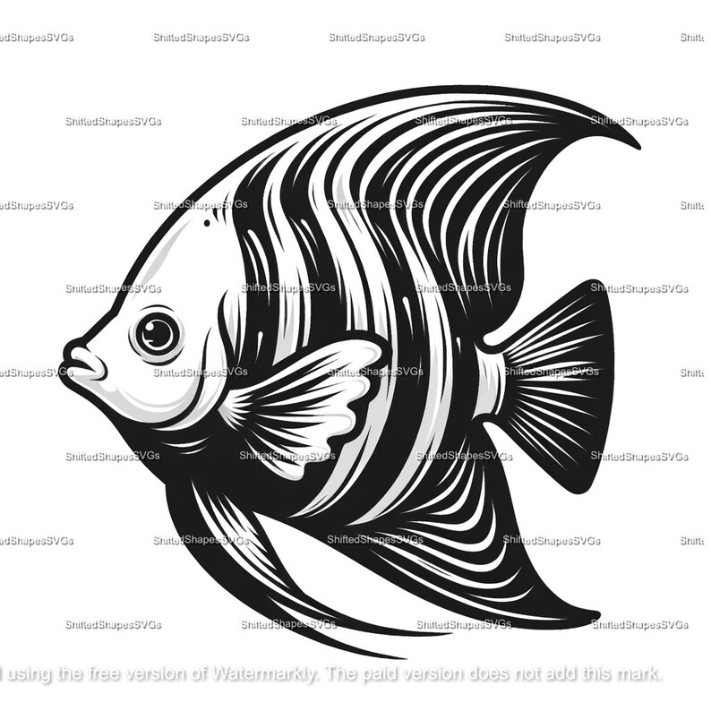 Angelfish SVG Bundle - Etsy