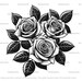 Roses SVG Bundle - Etsy