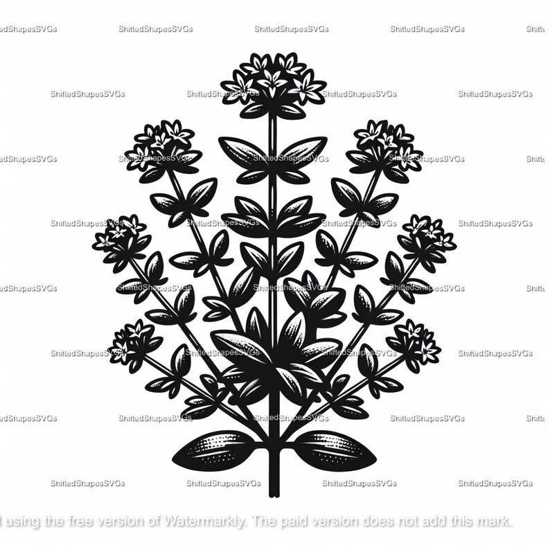 Thyme SVG Bundle - Etsy