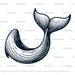 Whale Tail SVG Bundle - Etsy