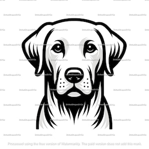 Labrador Retriever SVG Bundle - Etsy
