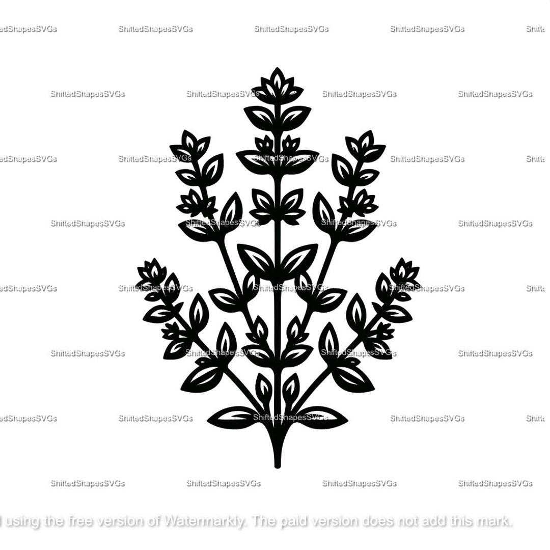 Thyme SVG Bundle - Etsy
