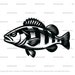 Perch Fish SVG Bundle - 5 Artistic Freshwater Designs for Crafting and ...