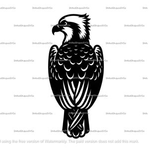Osprey SVG Bundle - Etsy