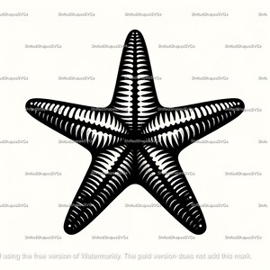Starfish SVG Bundle - Etsy
