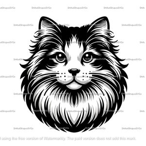 Norwegian Forest Cat SVG Bundle - Etsy