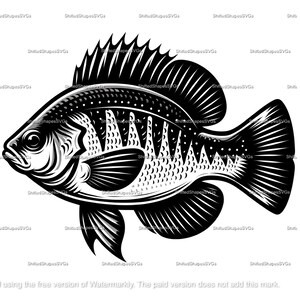 Bluegill Fish SVG Bundle - 5 Exquisite Aquatic Designs - Etsy
