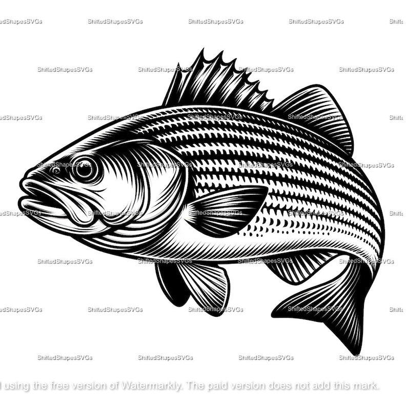 Striped Bass SVG Bundle - Etsy