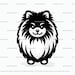 Pomeranian SVG Bundle - Etsy