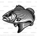 Striped Bass SVG Bundle - Etsy