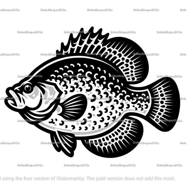 Crappie SVG Bundle - 5 Elegant Freshwater Fish Designs - Etsy