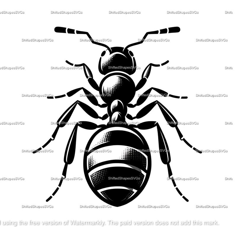 Ant SVG Bundle - Etsy