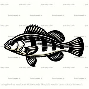 Perch Fish SVG Bundle 5 Artistic Freshwater Designs for Crafting and ...