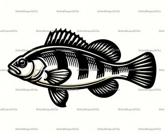 Perch Fish SVG Bundle - 5 Artistic Freshwater Designs for Crafting and ...