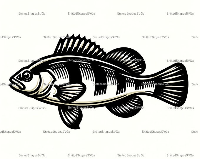 Perch Fish SVG Bundle - 5 Artistic Freshwater Designs for Crafting and ...