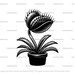Venus Flytrap SVG Bundle - Etsy