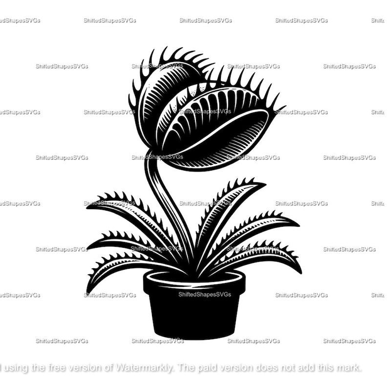 Venus Flytrap SVG Bundle - Etsy
