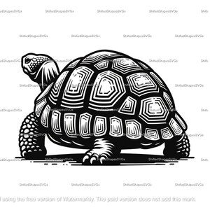 Sulcata Tortoise SVG Bundle - Etsy