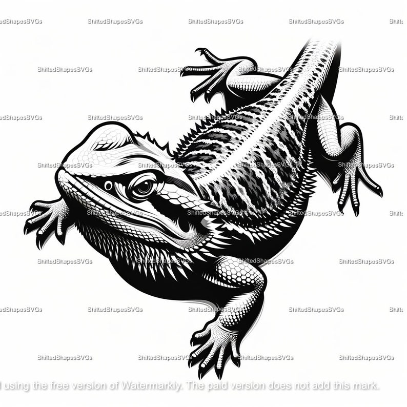 Bearded Dragon SVG Bundle - Etsy