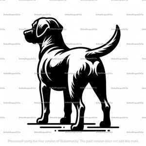 Labrador Retriever SVG Bundle - Etsy