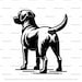 Labrador Retriever SVG Bundle - Etsy