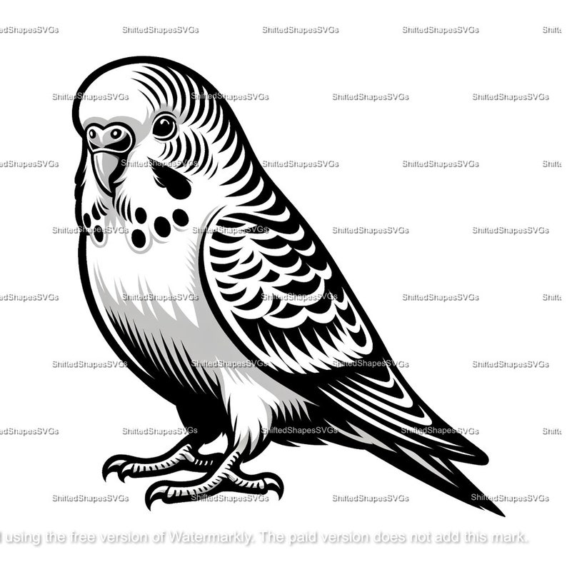 Budgerigar SVG Bundle - Etsy