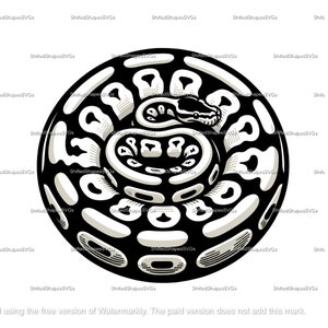 Ball Python SVG Bundle - Etsy