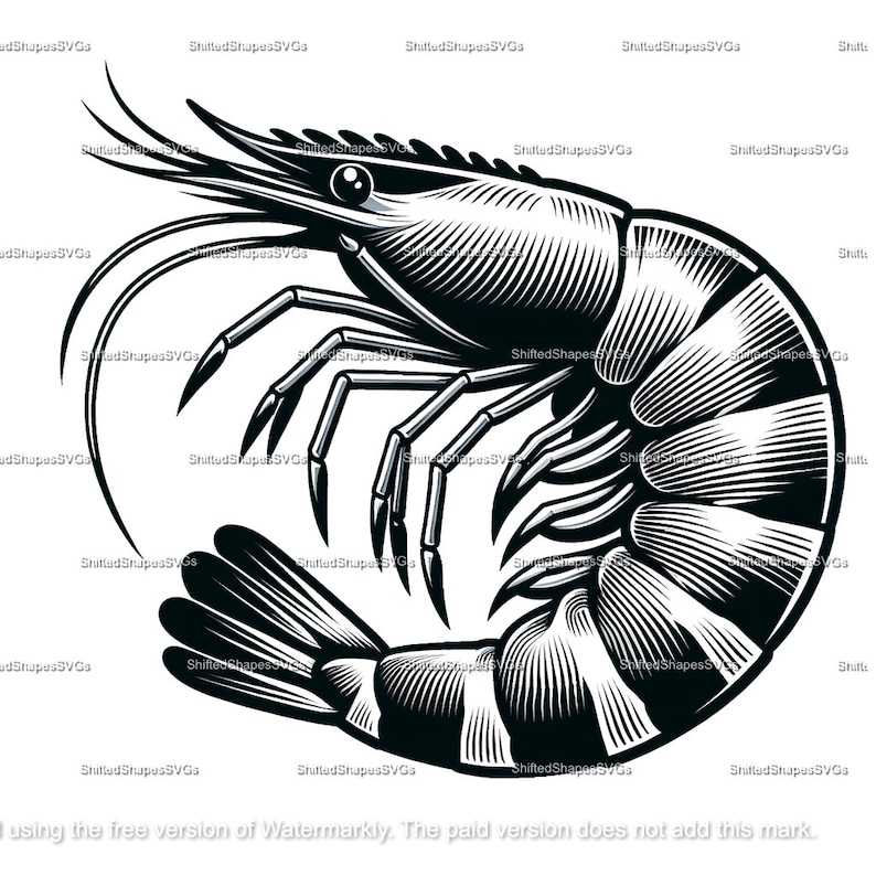 Shrimp SVG Bundle - Etsy