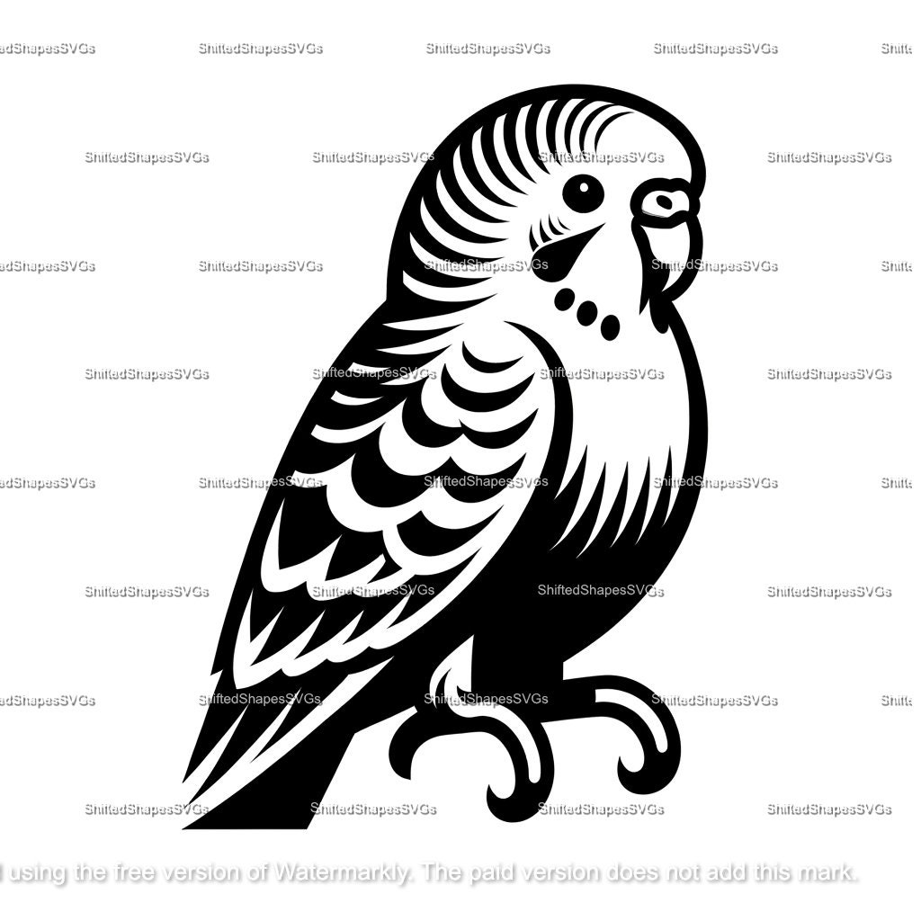 Parakeet SVG Bundle - Etsy