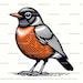 American Robin SVG Bundle - Etsy